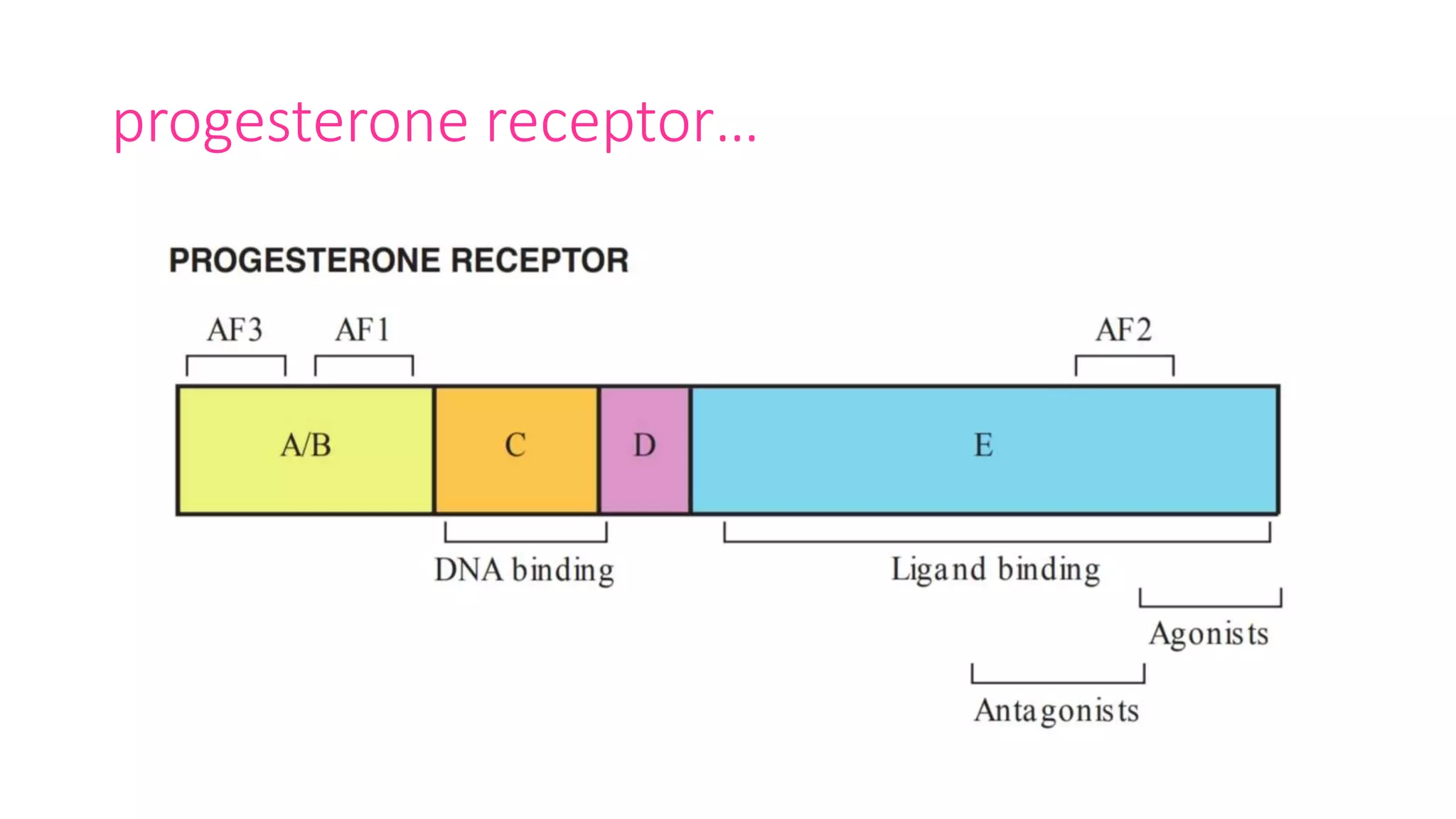 Progesterone in gynecology | PPTX