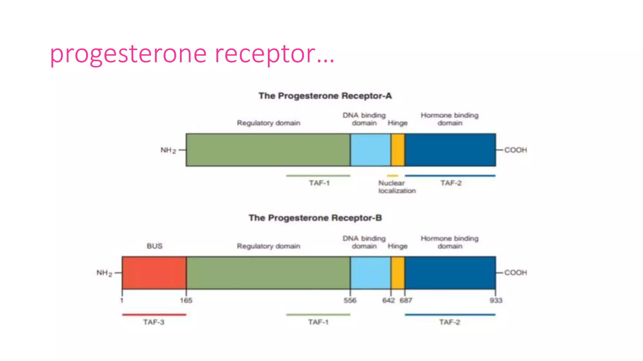 Progesterone in gynecology | PPTX