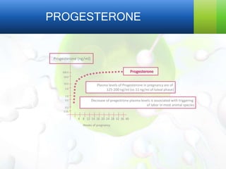 progesterone & Miscarriage.pptx