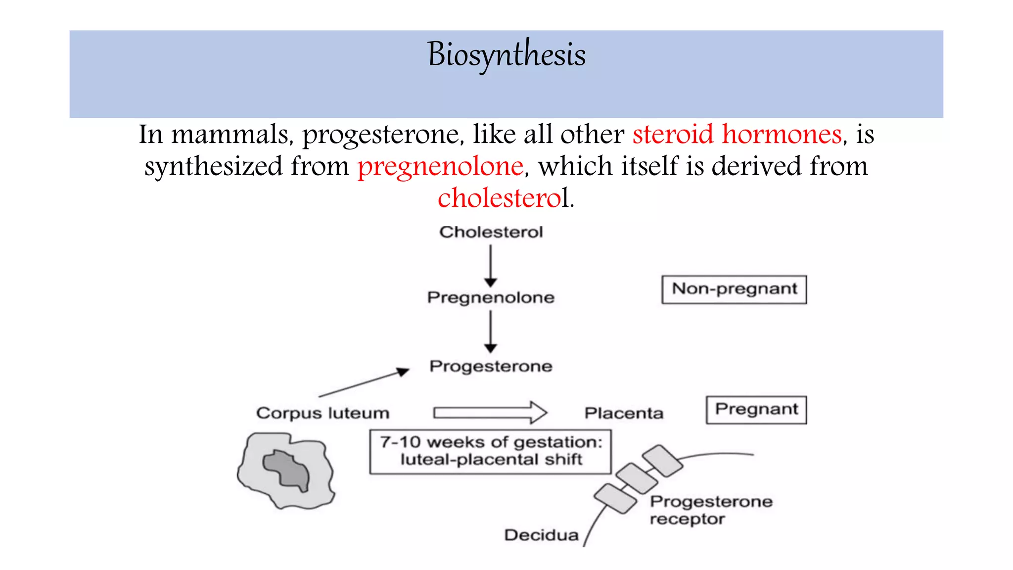 Progesterone hormone. | PPTX