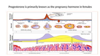 Progesterone Use in Infertility: Role, Benefits, and Clinical Insights ...