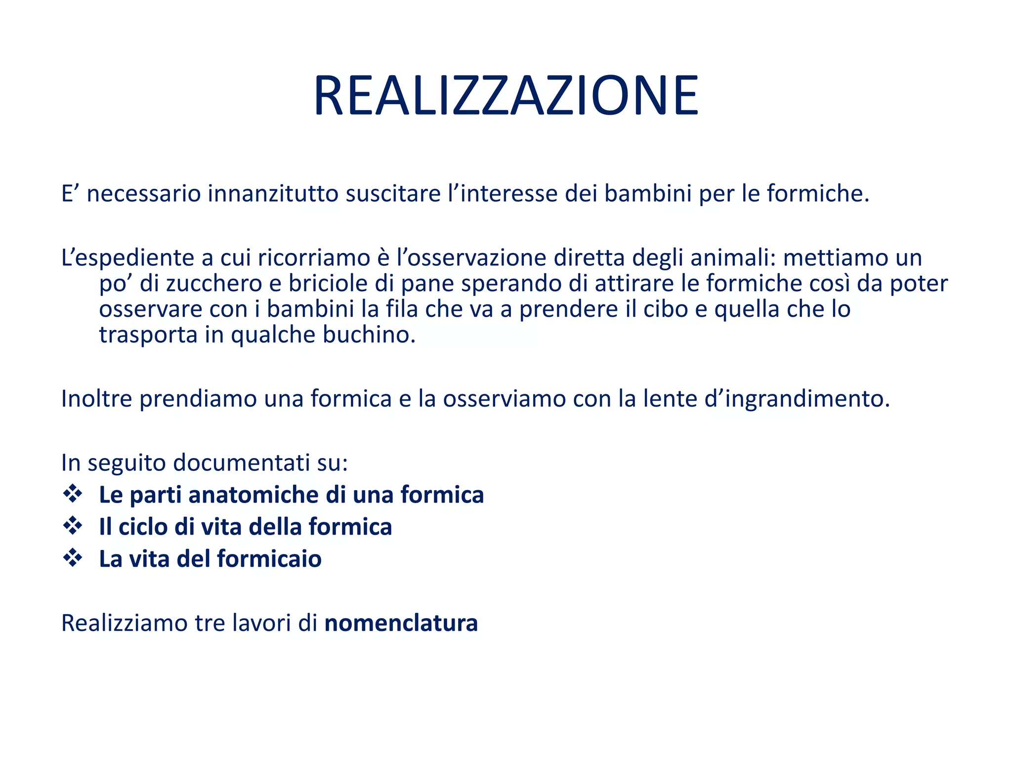Progetto le formiche | PPTX