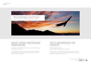 Taci Group, a CMS Project | PPT | Free Download