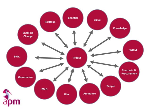 APM Presents - Joining the dots - Programme Management in action | PPT