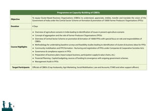 Program Design for CBBO capacity building | PDF