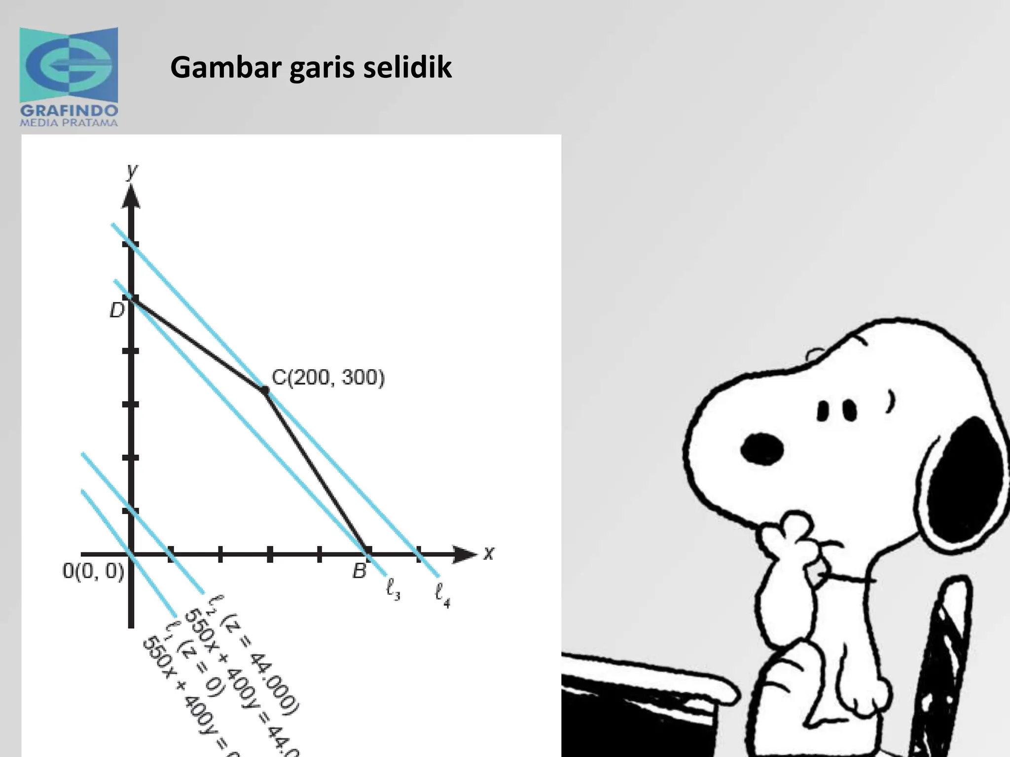 program-linear program linear progr.pptx