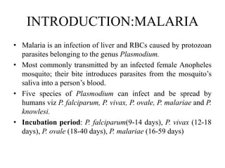 program-on-prevention-of-Malaria.pptx