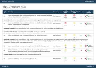 Program Portfolio Report | PDF