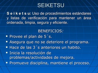 Programa 5 S | PPT