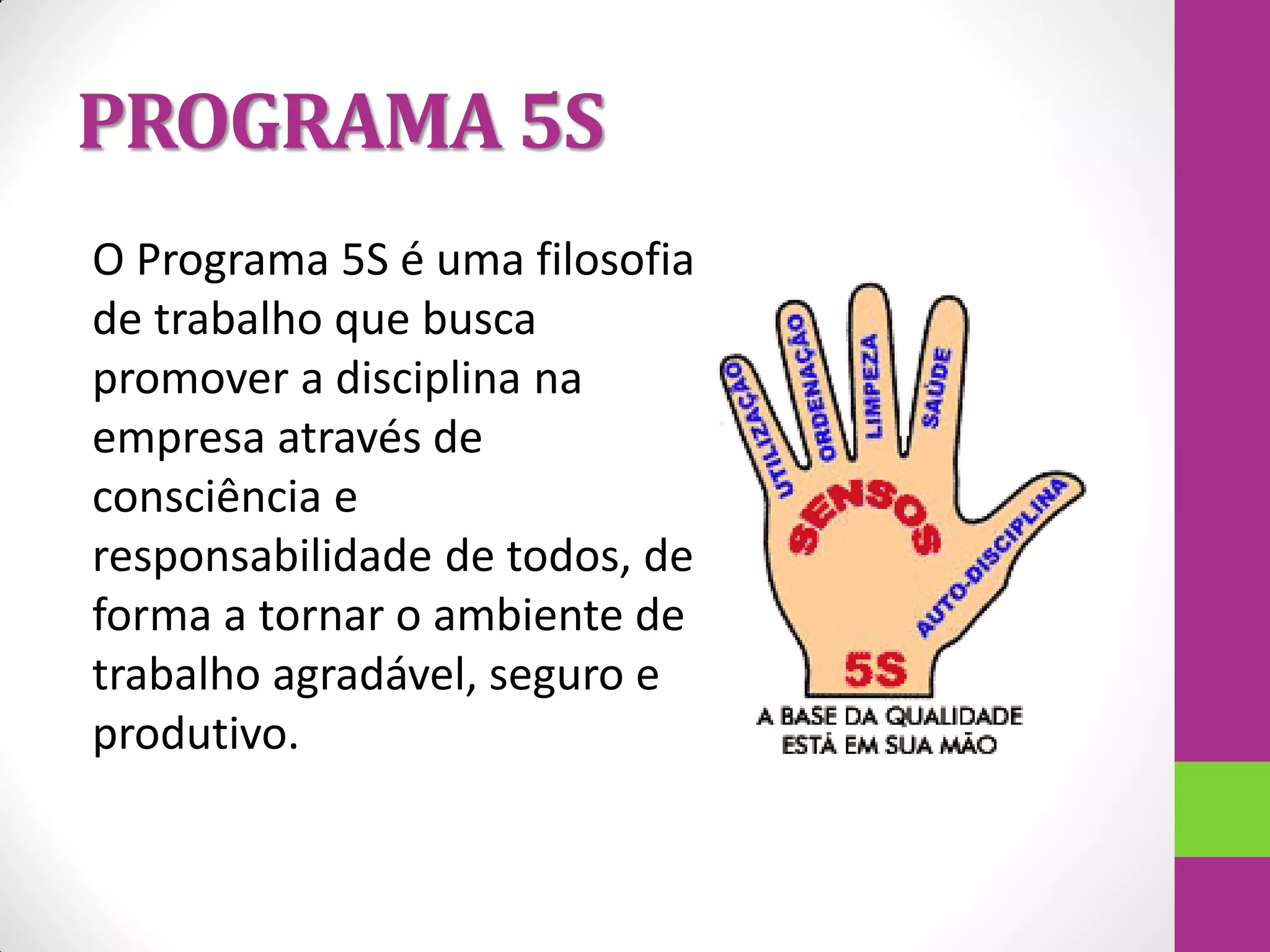 Programa 5S | PDF
