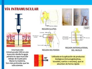 Programa ampliado de inmunizacionespresentacion | PPSX