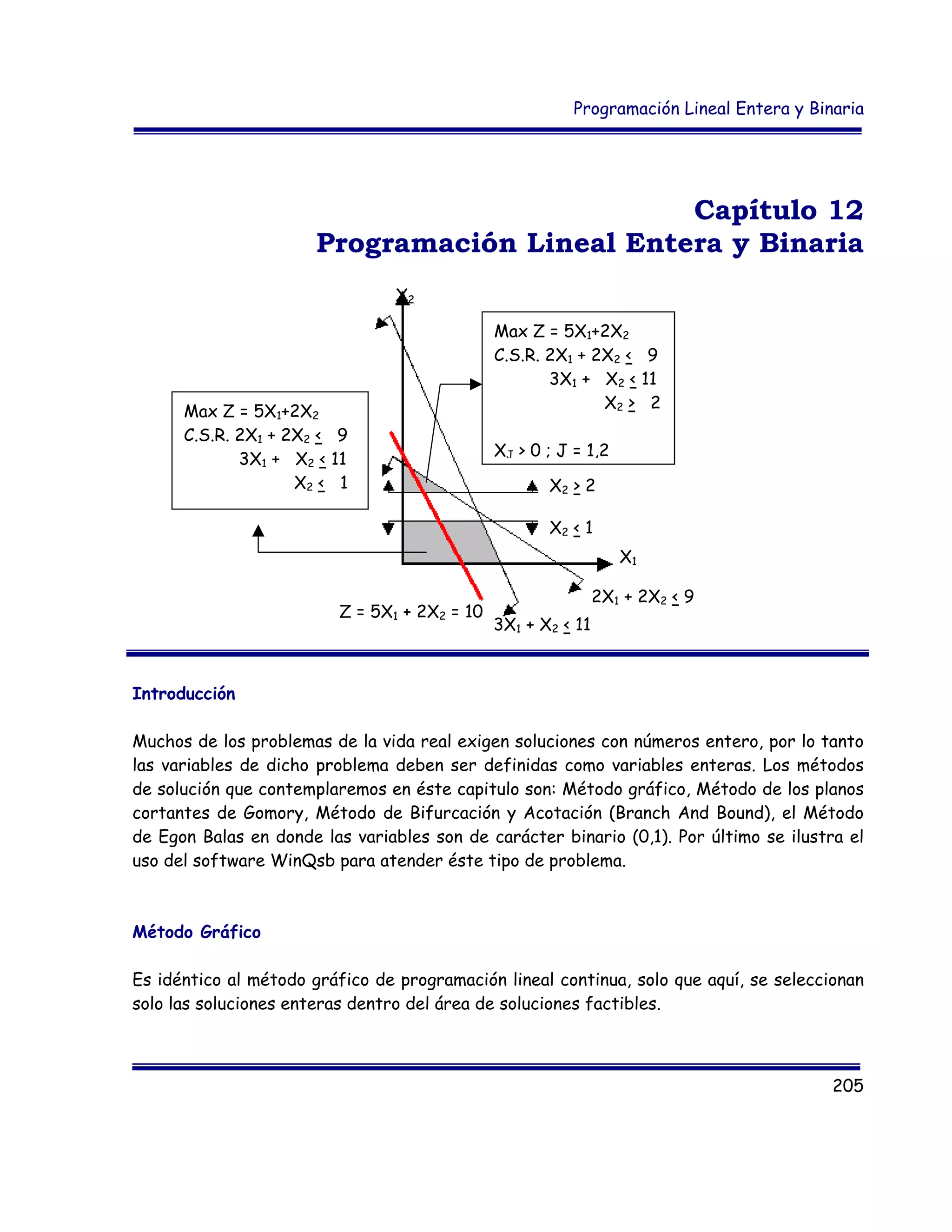 Programación lineal entera y binaria | PDF