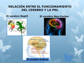 Programacion Neurolinguistica PNL | PDF