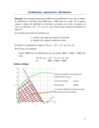 Programacion no lineaL | PDF