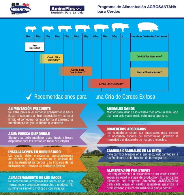 Programa de Alimentacion Para Cerdos AGROSANTANA
