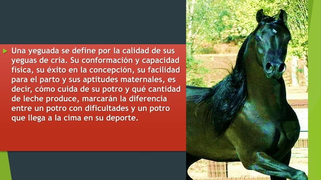 Programa de alimentación, sanidad y reproducción en equinos | PPTX