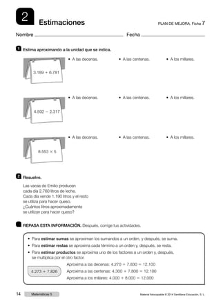 Programa de ampliación 5° primaria | PDF