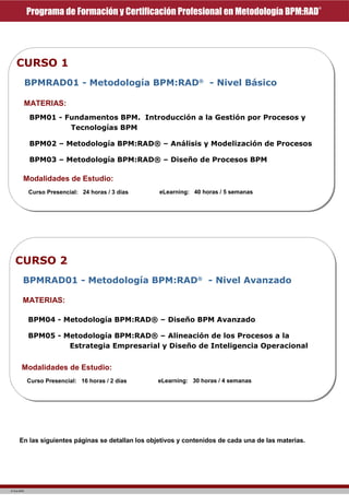 Programa de Formación y Certificación Profesional en_ Metodología BPM ...