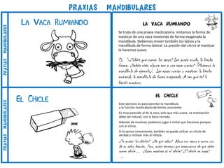 Programa de praxias | PDF