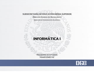 Programa informatica.pdf