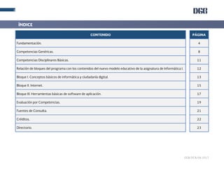 Programa informatica.pdf