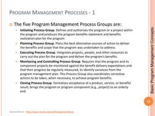 Program and Portfolio Management Basics Brief | PDF