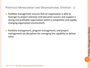 Program and Portfolio Management Basics Brief | PDF