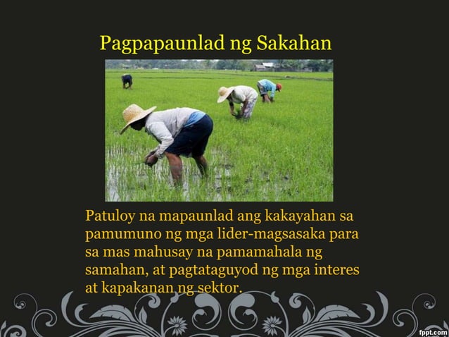 Programa ng pamahalaan mangibunong 6 sjb | PPT