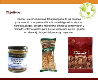 Curso de Especialización en Pecana Mahan | PDF