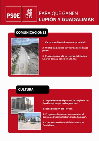 PROGRAMA ELECTORAL 2011 | PDF