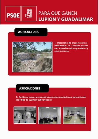 PROGRAMA ELECTORAL 2011 | PDF