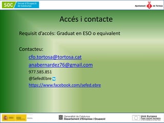 Programa SEFED | PPTX
