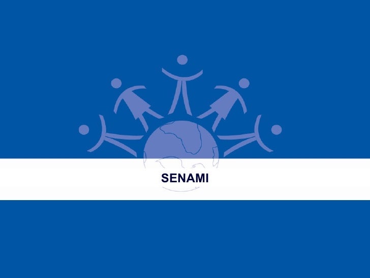 Programas prioritarios senami 2009. u. alicante