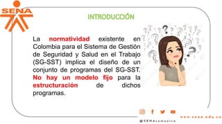 PROGRAMAS SST Y AMBIENTALES.pdf