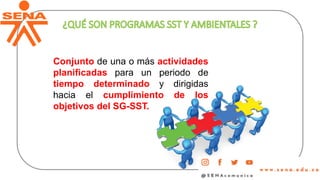 PROGRAMAS SST Y AMBIENTALES.pdf