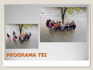 Programa TEI 18 19 | PPT