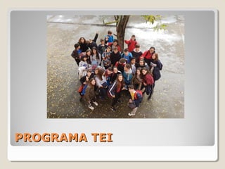 Programa TEI 18 19 | PPT