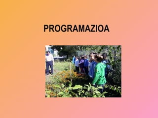 Programazioa | PPT