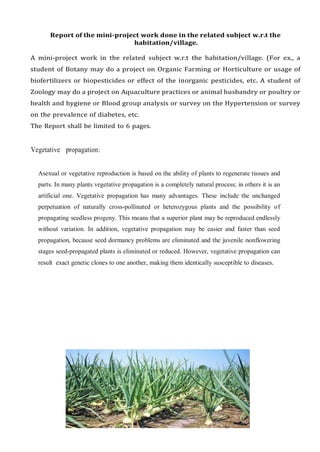 PROGRAM BOOK FOR COMMUNITY SERVICE PROJECT (3) (1) (1)_removed (1).pdf