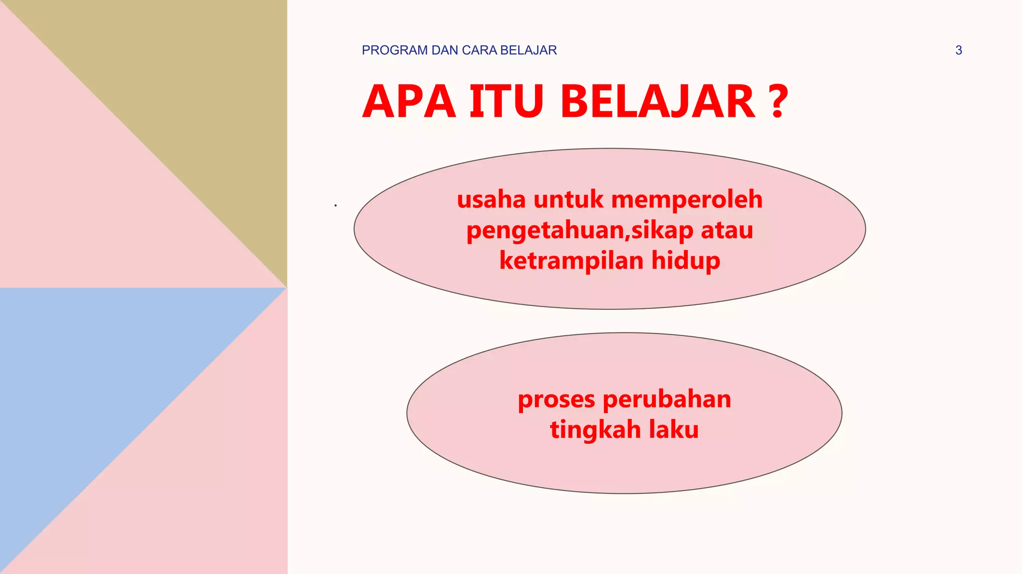 PROGRAM DAN CARA BELAJAR 1.pptx