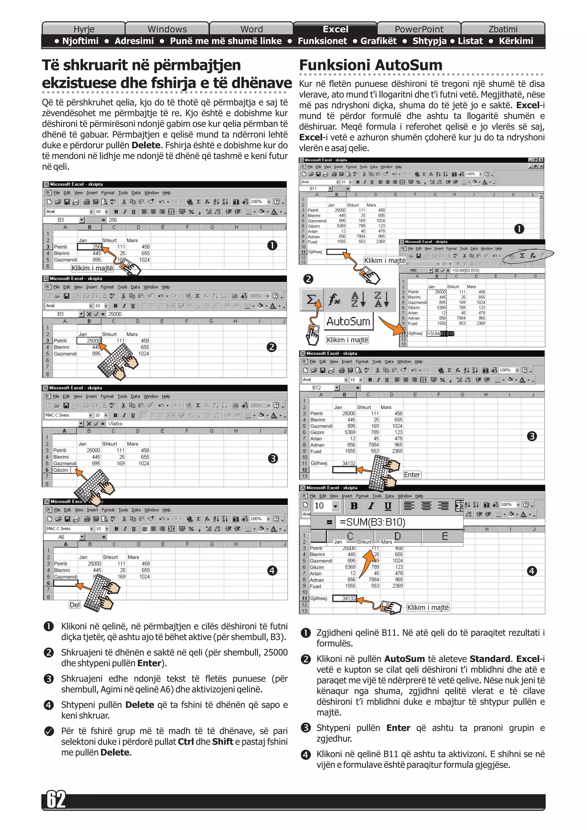Programet aplikative | PDF