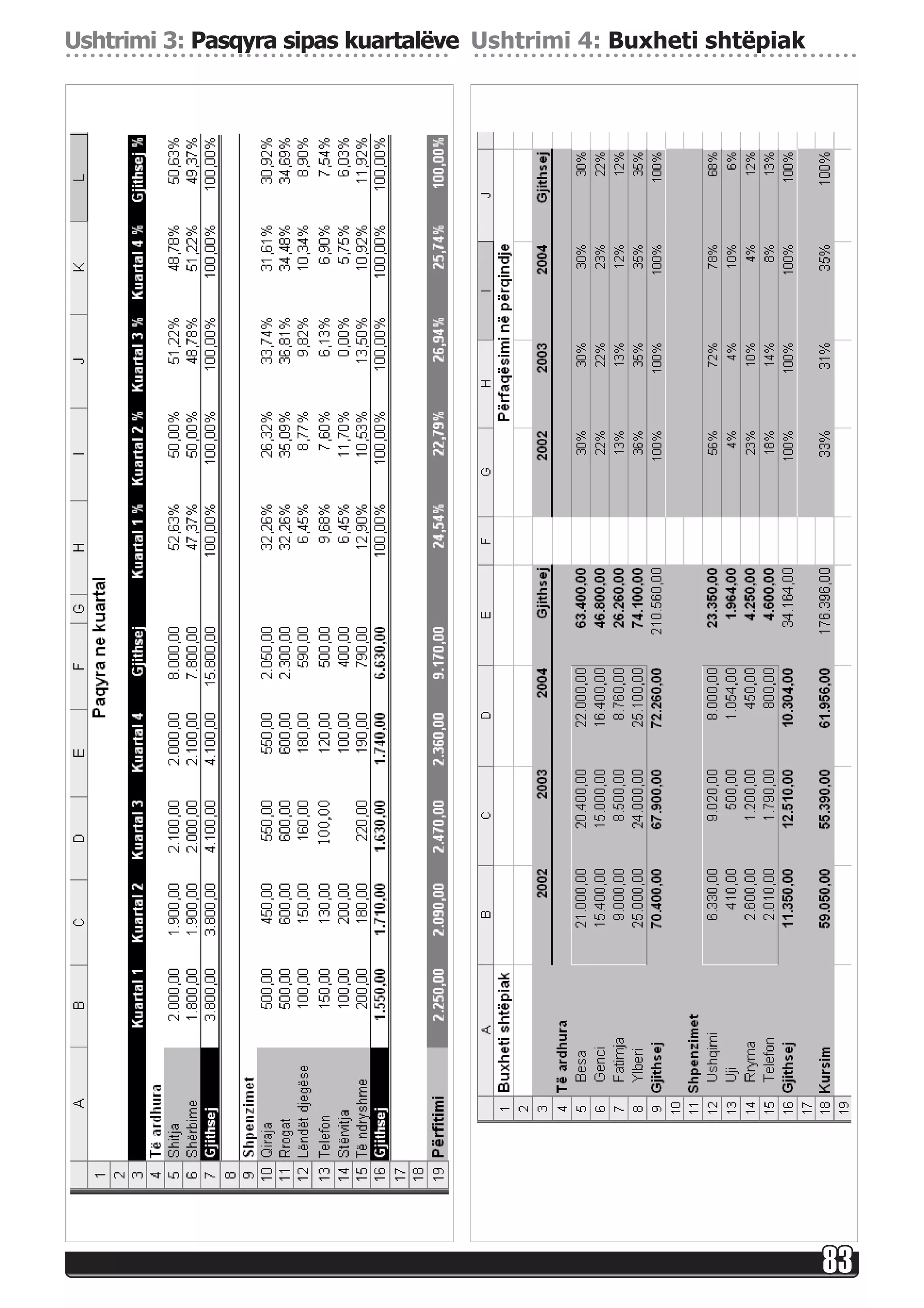 Programet aplikative | PDF