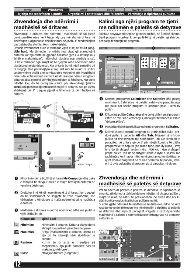 Programet aplikative | PDF