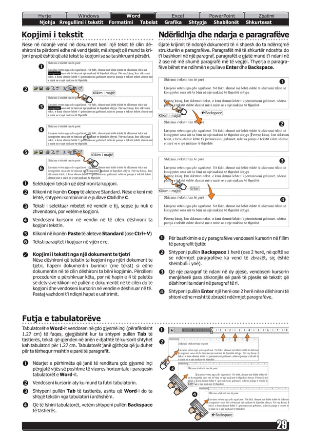 Programet aplikative | PDF