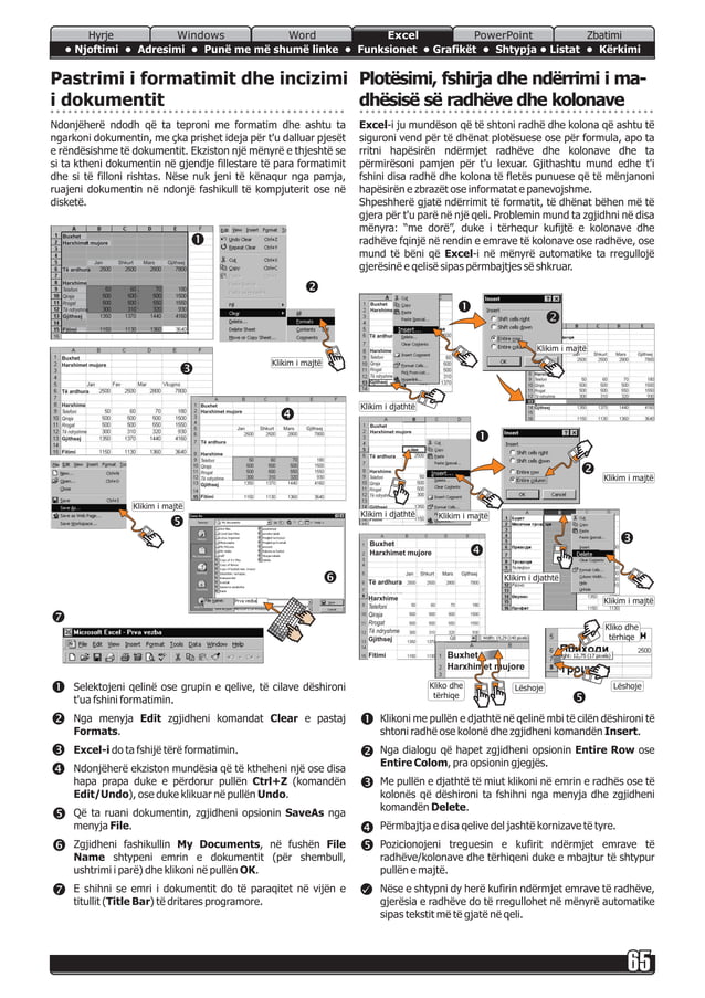 Programet aplikative | PDF