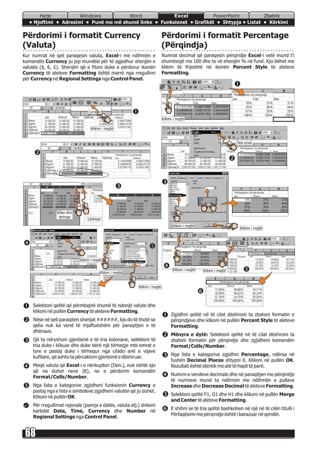 Programet aplikative | PDF