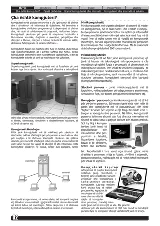 Programet aplikative | PDF