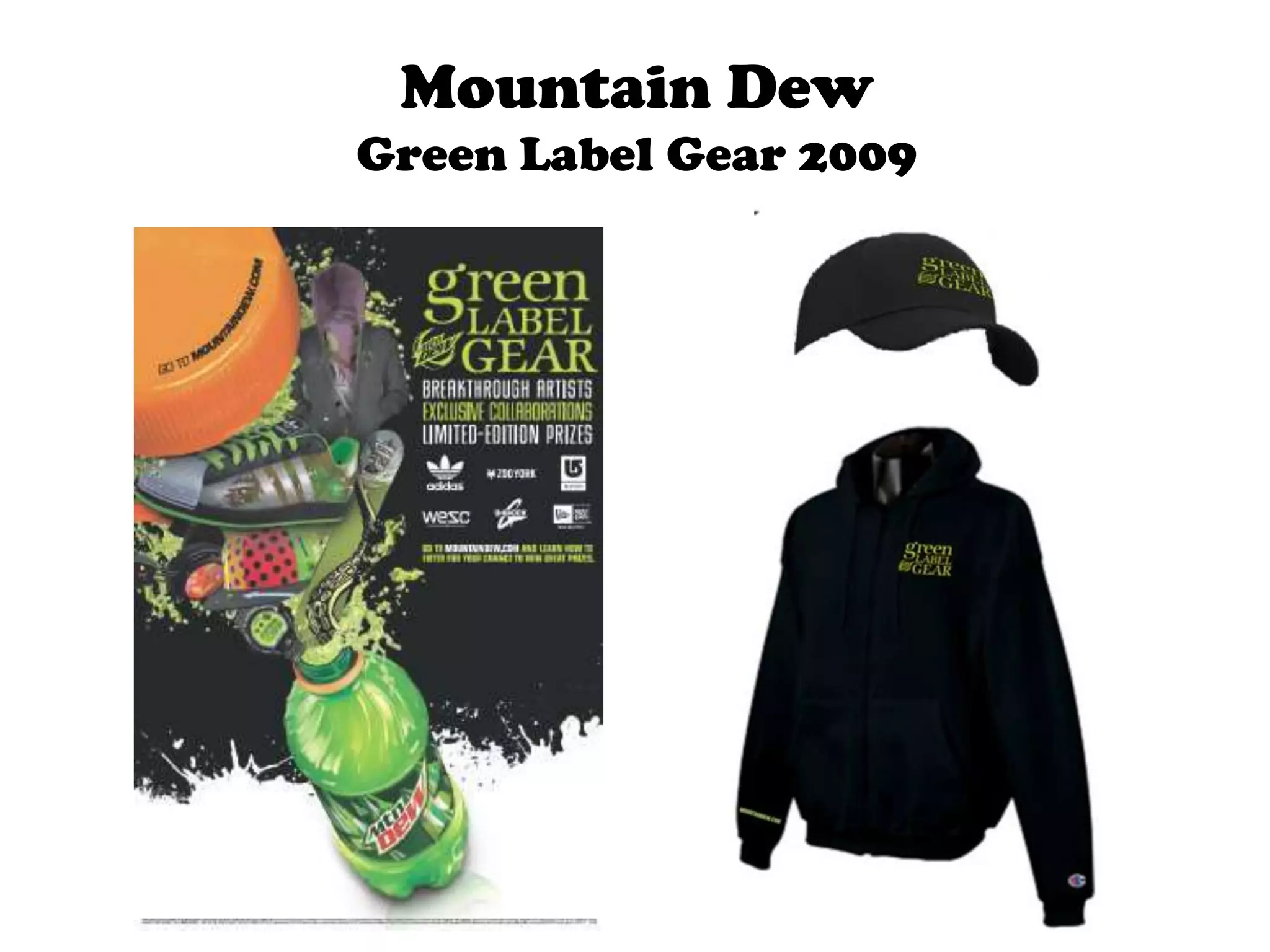 Program Execution Portfolio | PPTX