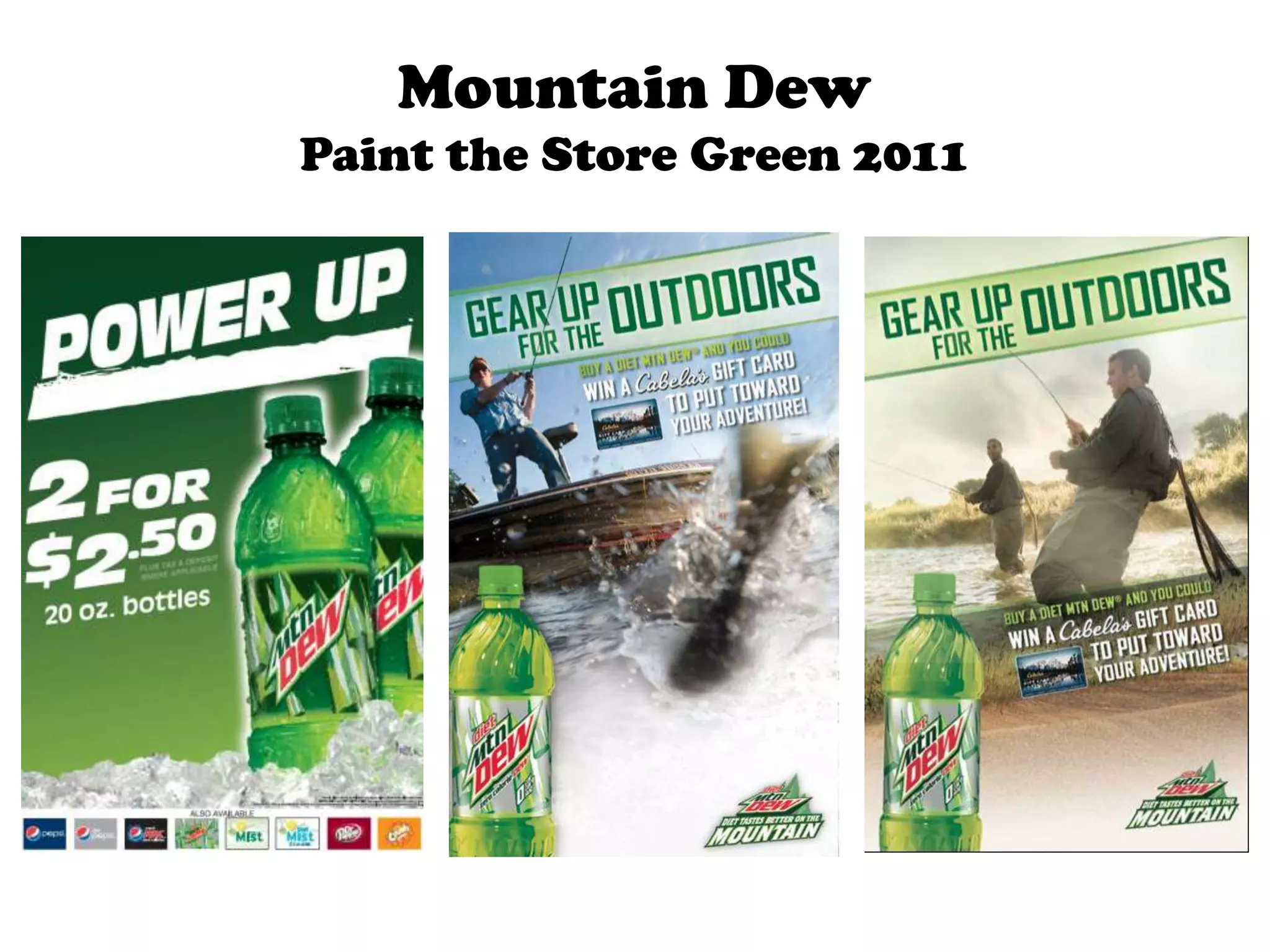 Program Execution Portfolio | PPTX