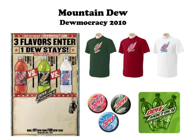 Program Execution Portfolio | PPTX